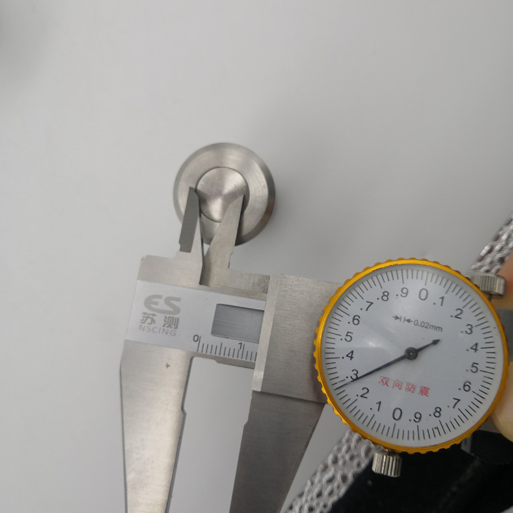 Manufacturer Supply Stainless Steel Dust Proof Strike with Spring with ...